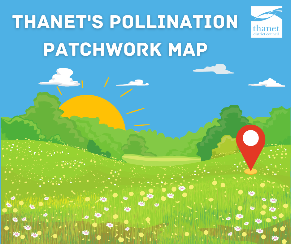 Get involved with mapping your wildflower areas! - Thanet