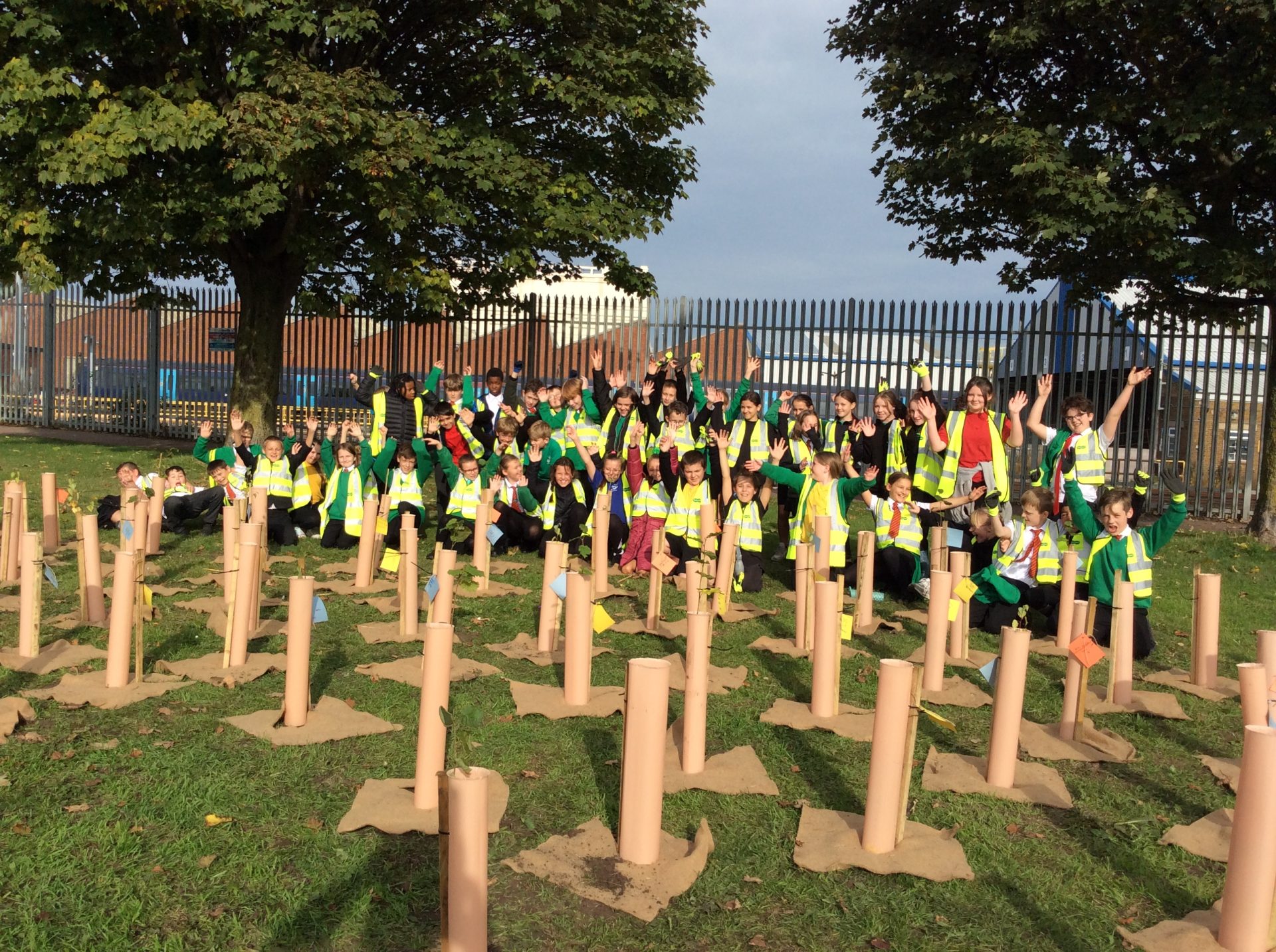 Council tree project plants 1000 young trees with local school children ...