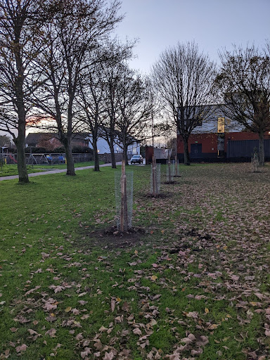 Council tree-planting project flourishes with further community events ...