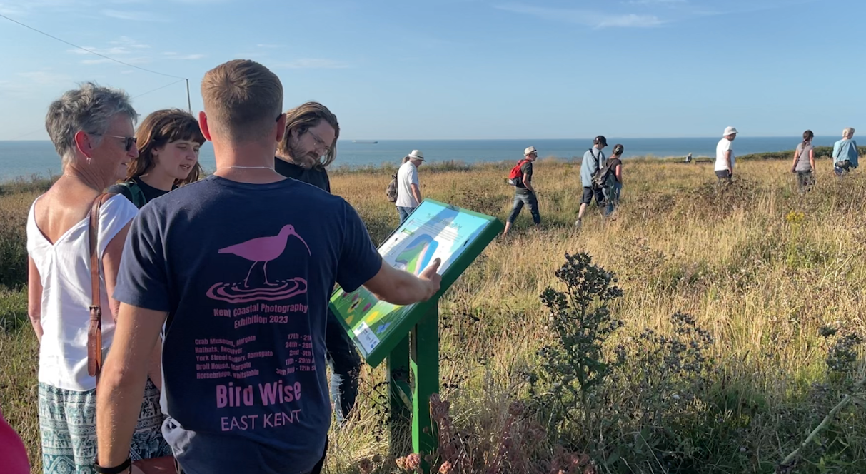 Foreness Point plays host to buzzing bumblebee and biodiversity ...